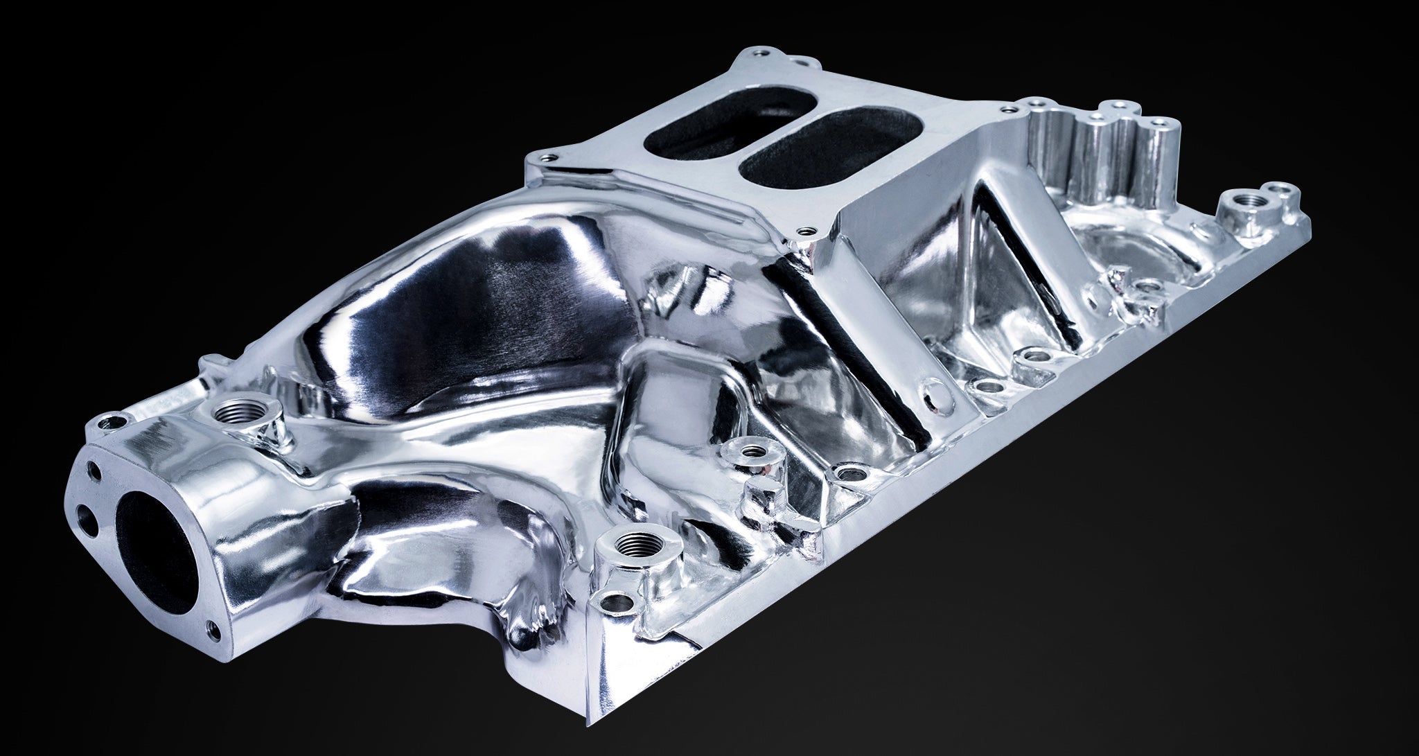 Ford Intake Manifolds – Professional Products